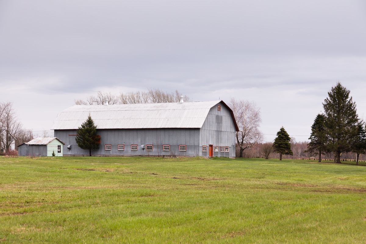 Gambrel Roof Benefits, Style & Sustainability For Your Home